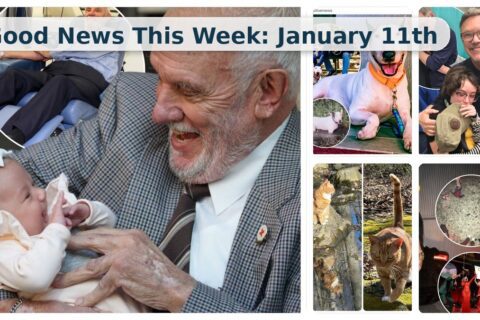 Global Good News: Positive Stories from Around the World - Global ...